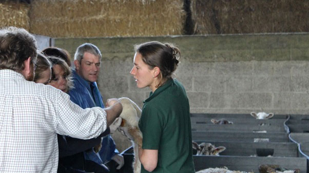 A day in the life of a farm animal vet - Trinity Hall Cambridge